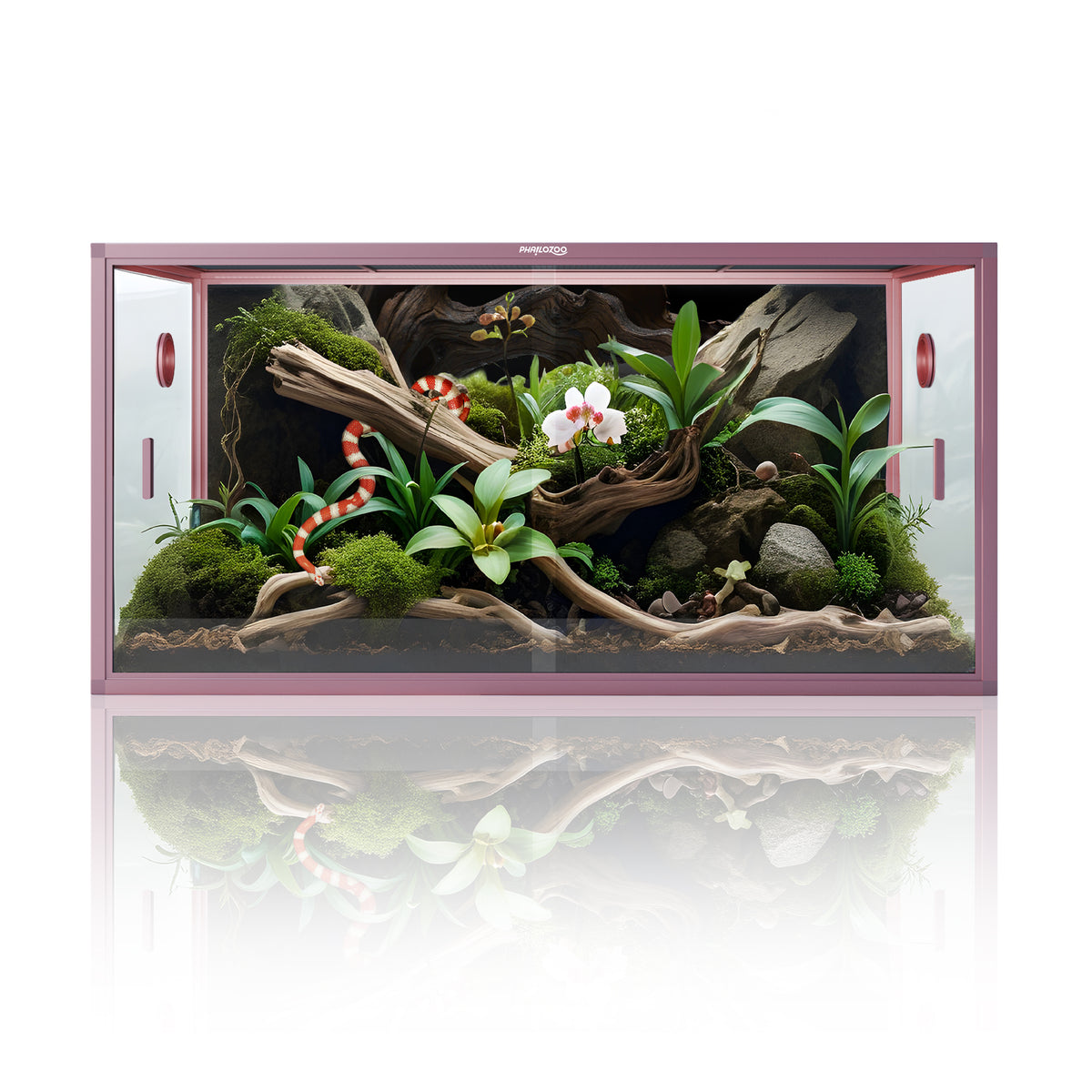 Phailozoo Bioactive Terrarium Reptile Enclosure 120 Gallon 48x24x24 Bl ...