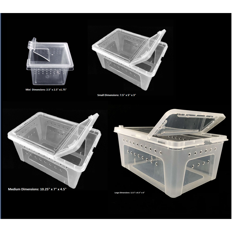 Clear Plastic Terrarium Boxes by Jungle Bob — Jungle Bobs Reptile World