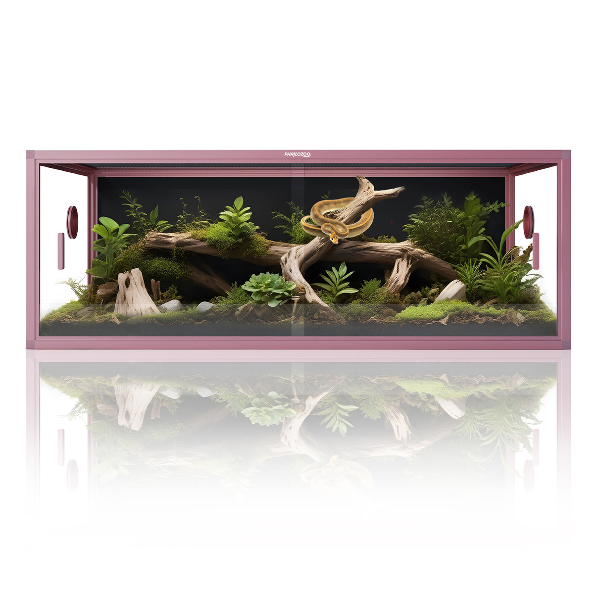 Phailozoo Bioactive Terrarium Reptile Enclosure 85 gallon 48x24x18 Blo ...