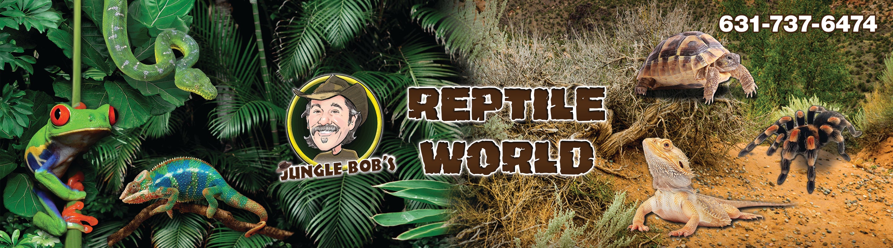 Largest Reptile Store in New York -Jungle Bob's Reptile World — Jungle ...
