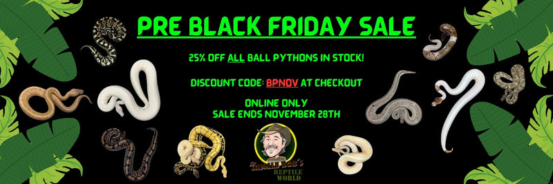 Largest Reptile Store in New York -Jungle Bob's Reptile World — Jungle ...