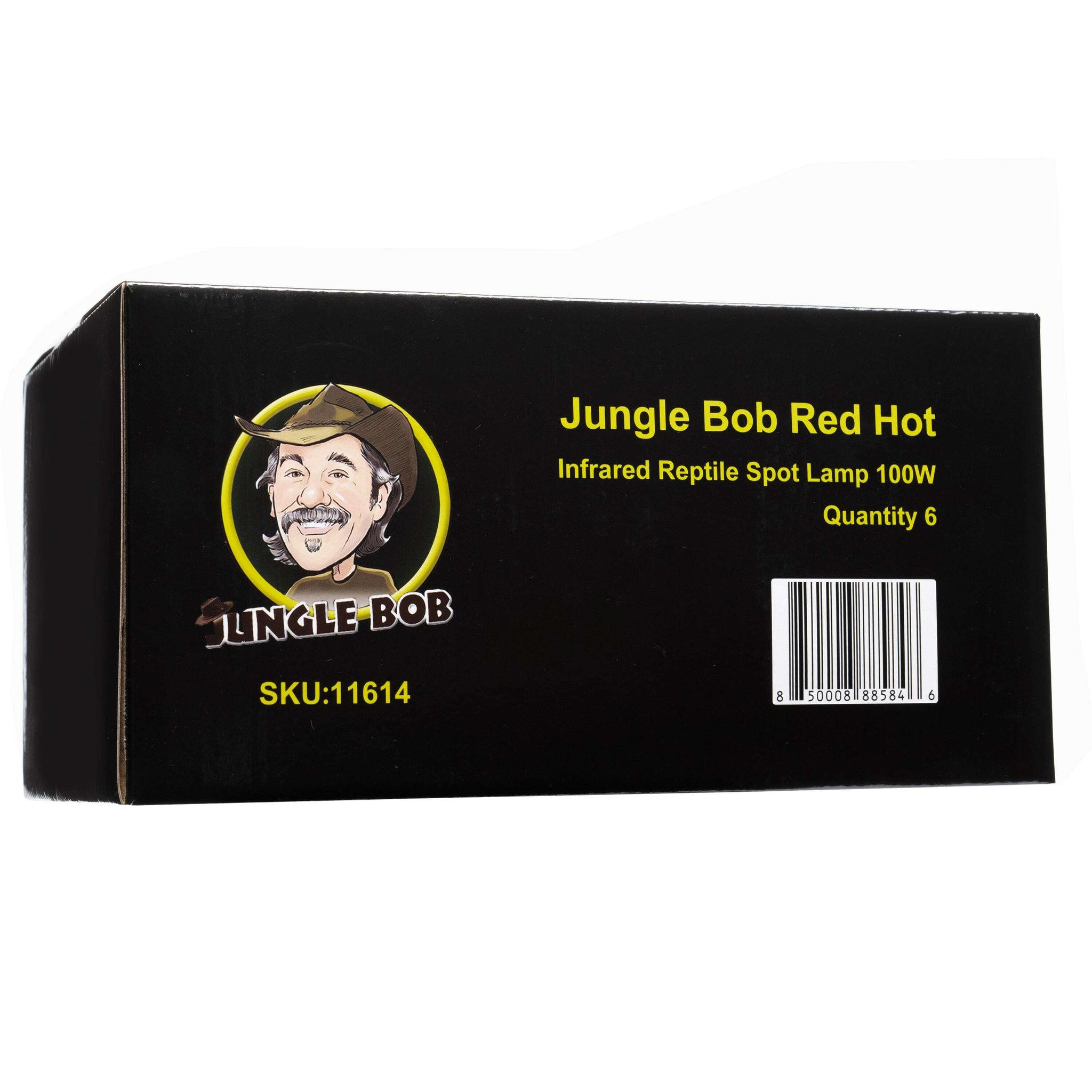 Jungle Bob Lighting — Jungle Bobs Reptile World