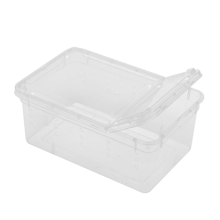 Clear Plastic Terrarium Boxes by Jungle Bob — Jungle Bobs Reptile World