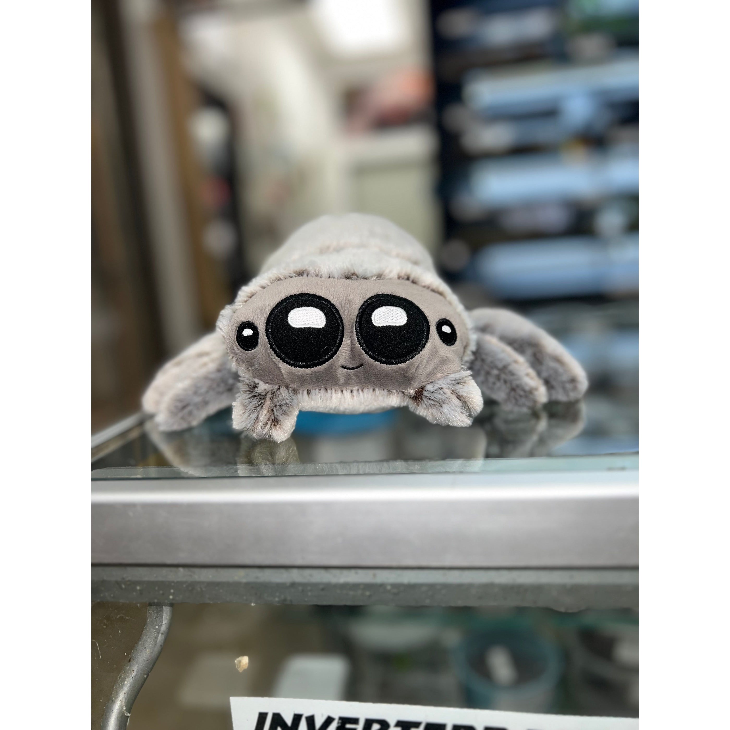 Jumping Spider Plush Toy — Jungle Bobs Reptile World
