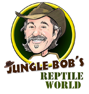 Ball Pythons for Sale — Jungle Bobs Reptile World