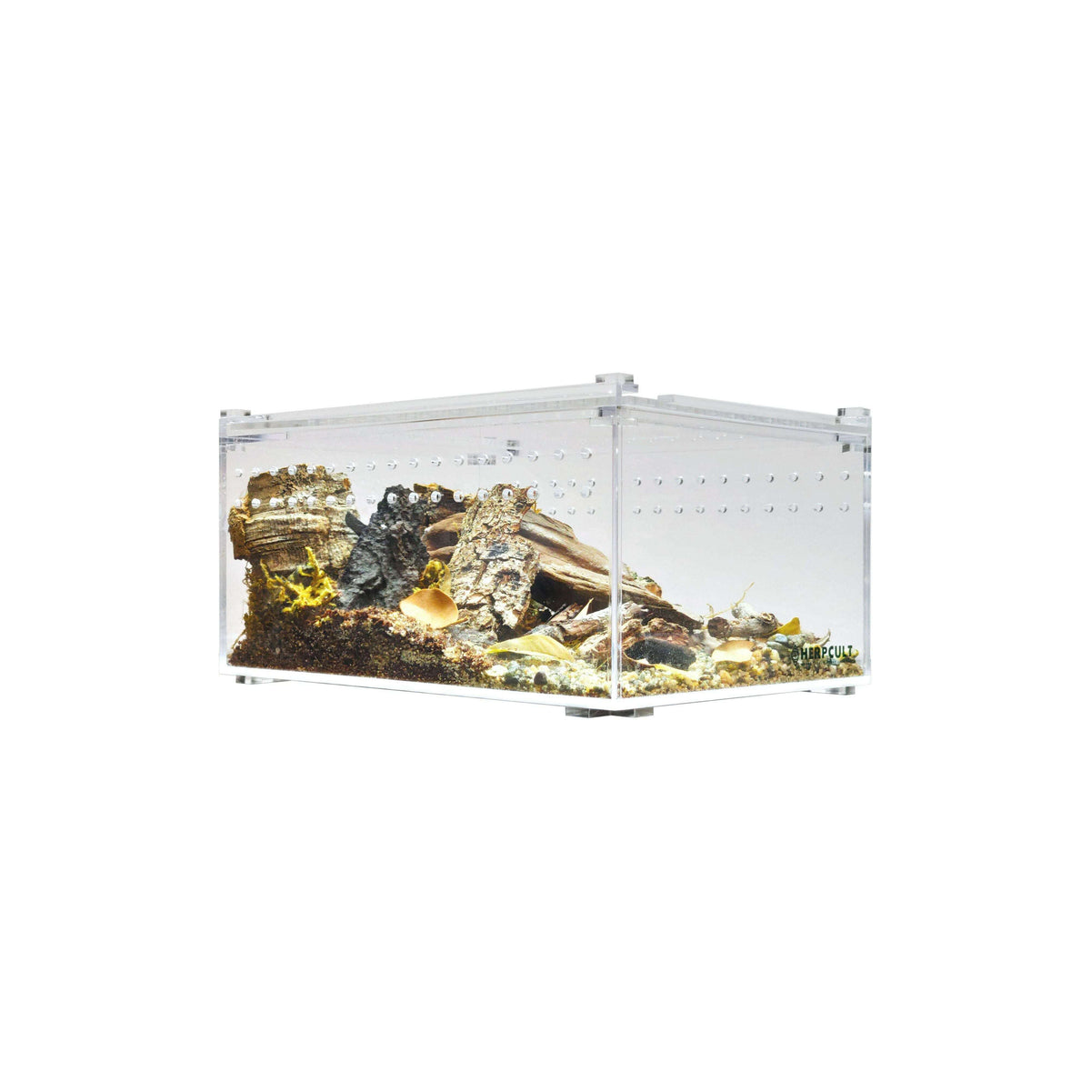 Acrylic Reptile Enclosure, Magnetic lid Herpcult Small Flat — Jungle ...