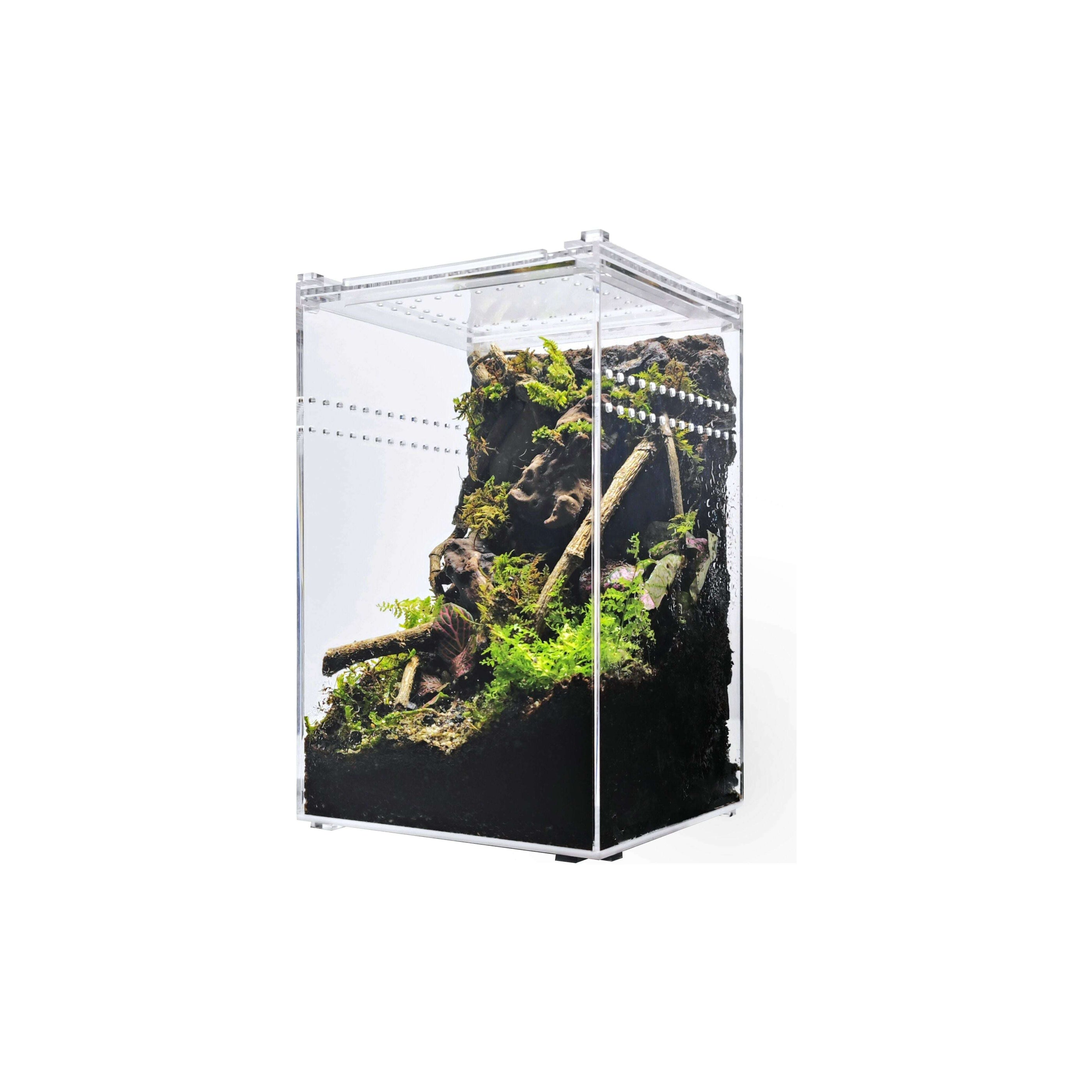Acrylic Terrarium Enclosure for Reptiles by Herpcult — Jungle Bobs ...