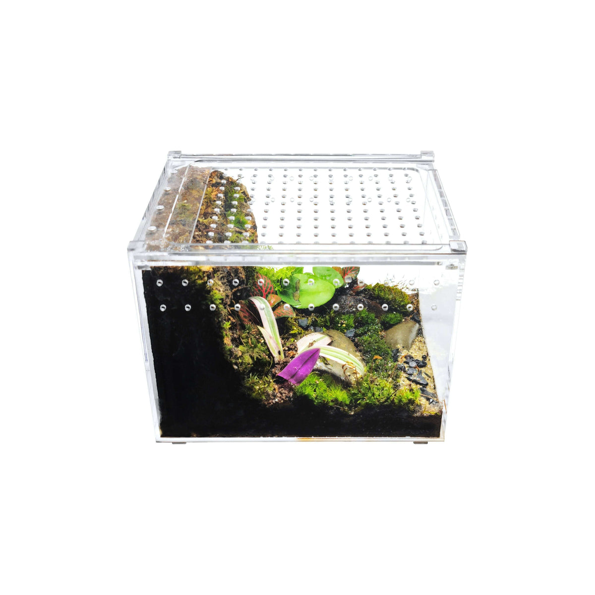 YKL20A HerpCult Acrylic Terrarium Enclosure with Magnetic Lid Enclosur ...