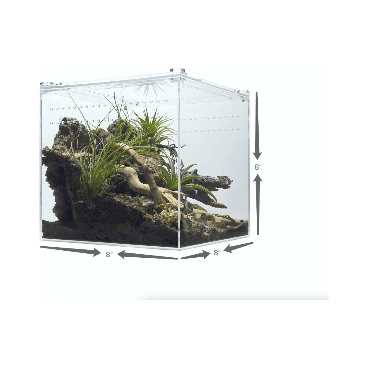 YKL 22B Acrylic Enclosure Medium 8"x8"x8" by HerpCult — Jungle Bobs ...
