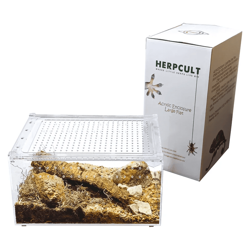 Large Flat Acrylic Enclosure with Magnetic Lid by Herpcult — Jungle ...