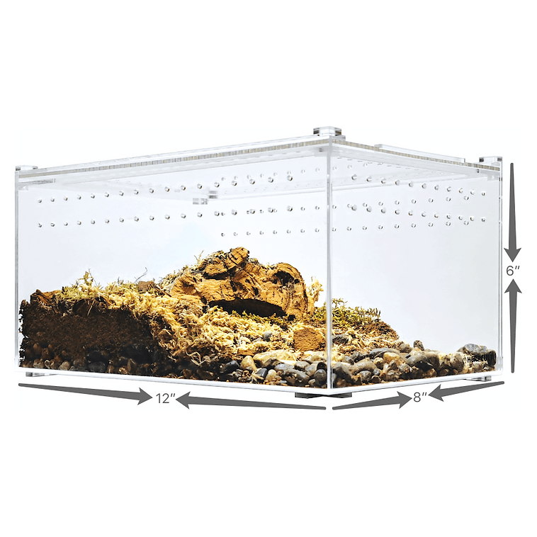 HerpCult Acrylic Terrariums — Jungle Bobs Reptile World