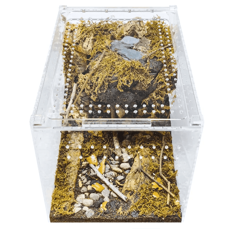 Acrylic reptile enclosure by Herpcult Large Tall Clear Top — Jungle ...