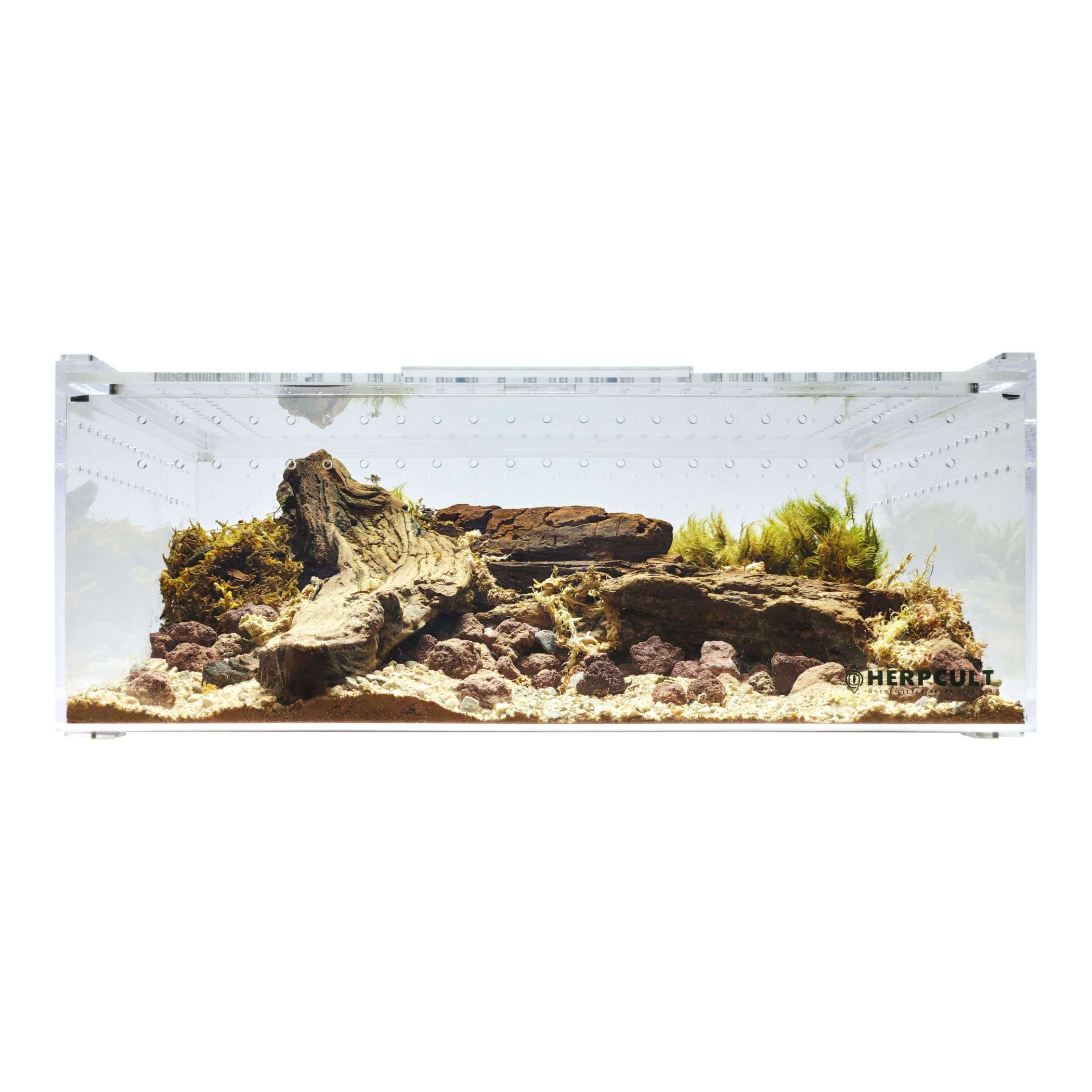 Acrylic Reptile Enclosure Magnetic Lid by Herpcult Clear Top — Jungle ...