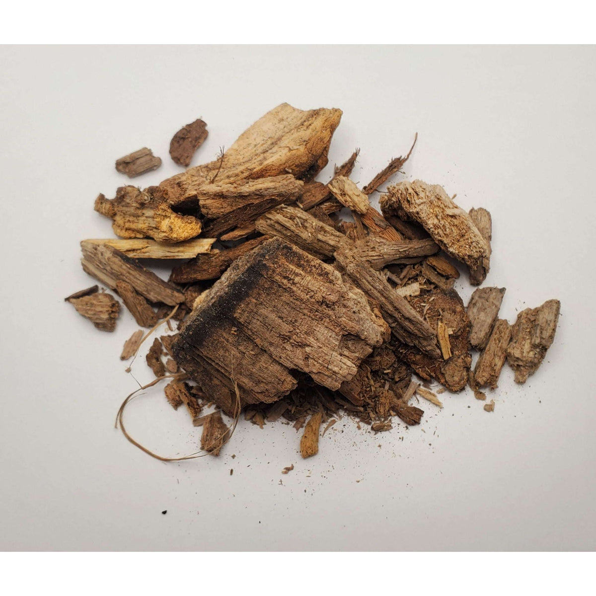 Rotten Wood Isopod/Ground Cover Jungle Bob — Jungle Bobs Reptile World