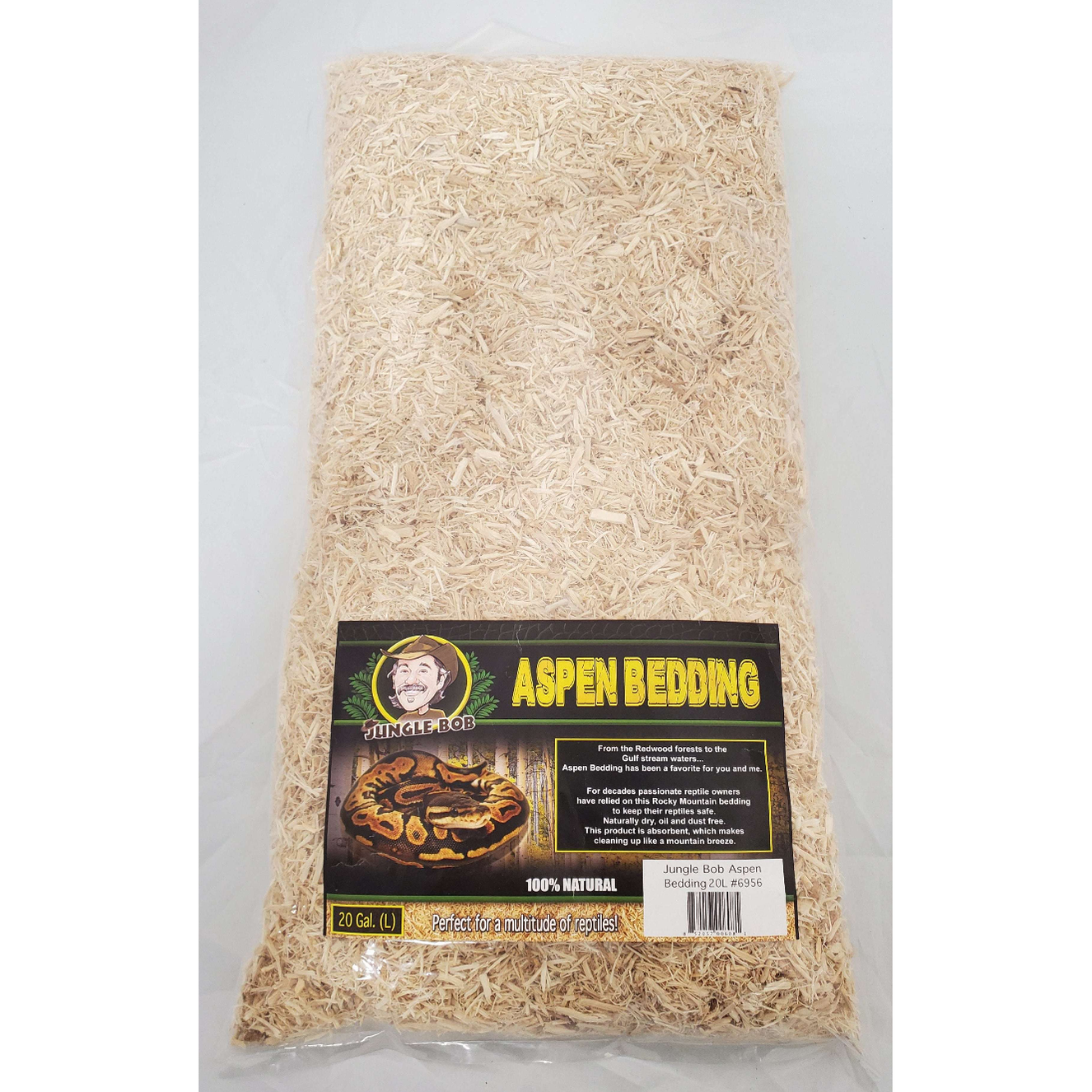 Aspen — Jungle Bobs Reptile World