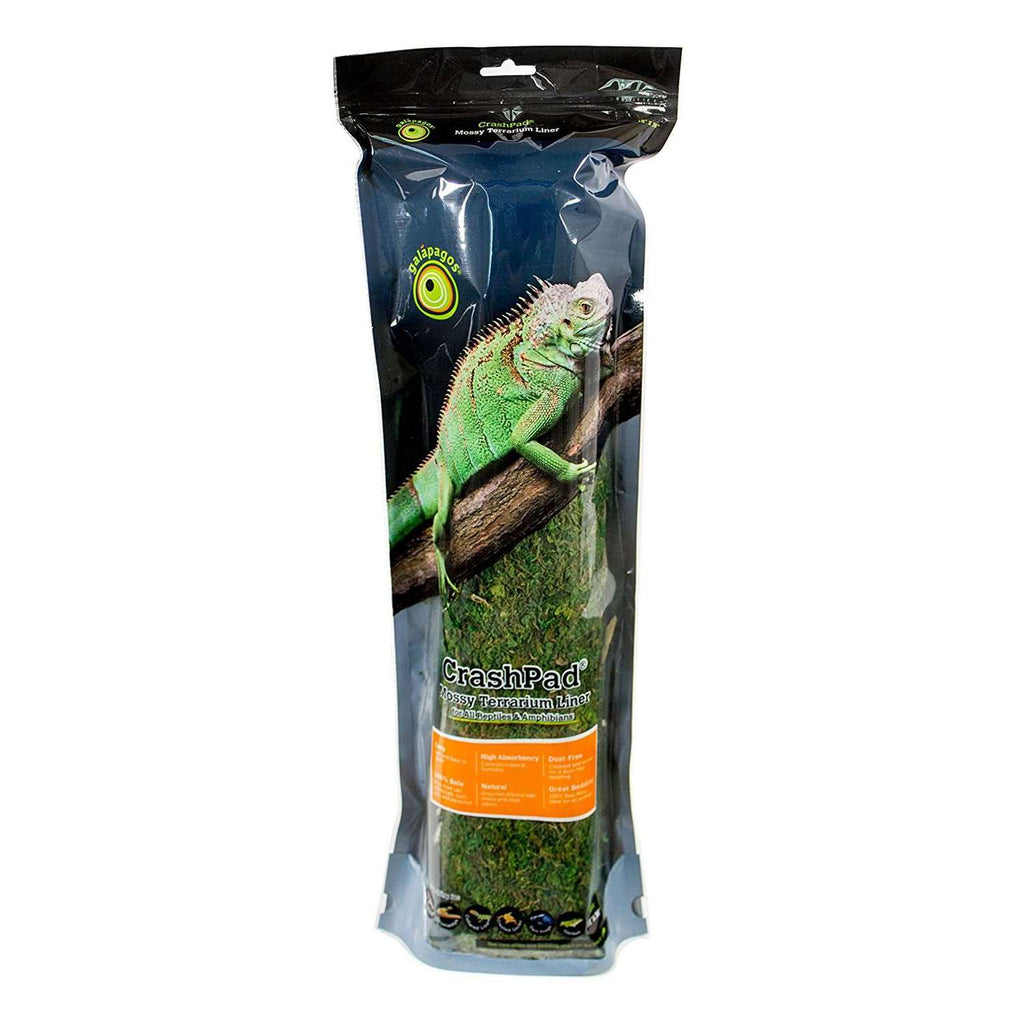 Moss — Jungle Bobs Reptile World
