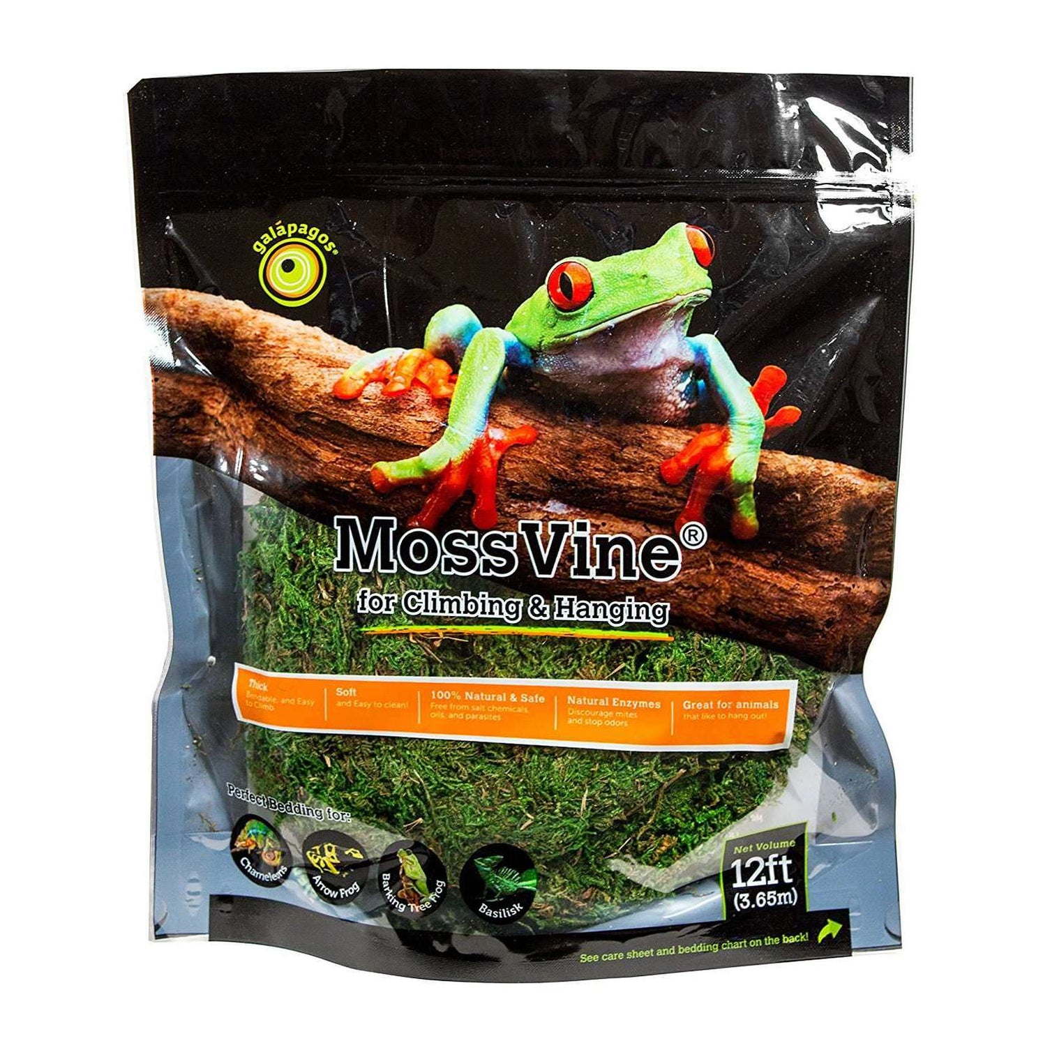 Moss — Jungle Bobs Reptile World