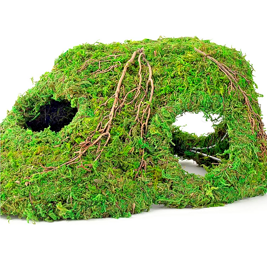 Galapagos Mossy Corner Reptile Terrarium Hide — Jungle Bobs Reptile World