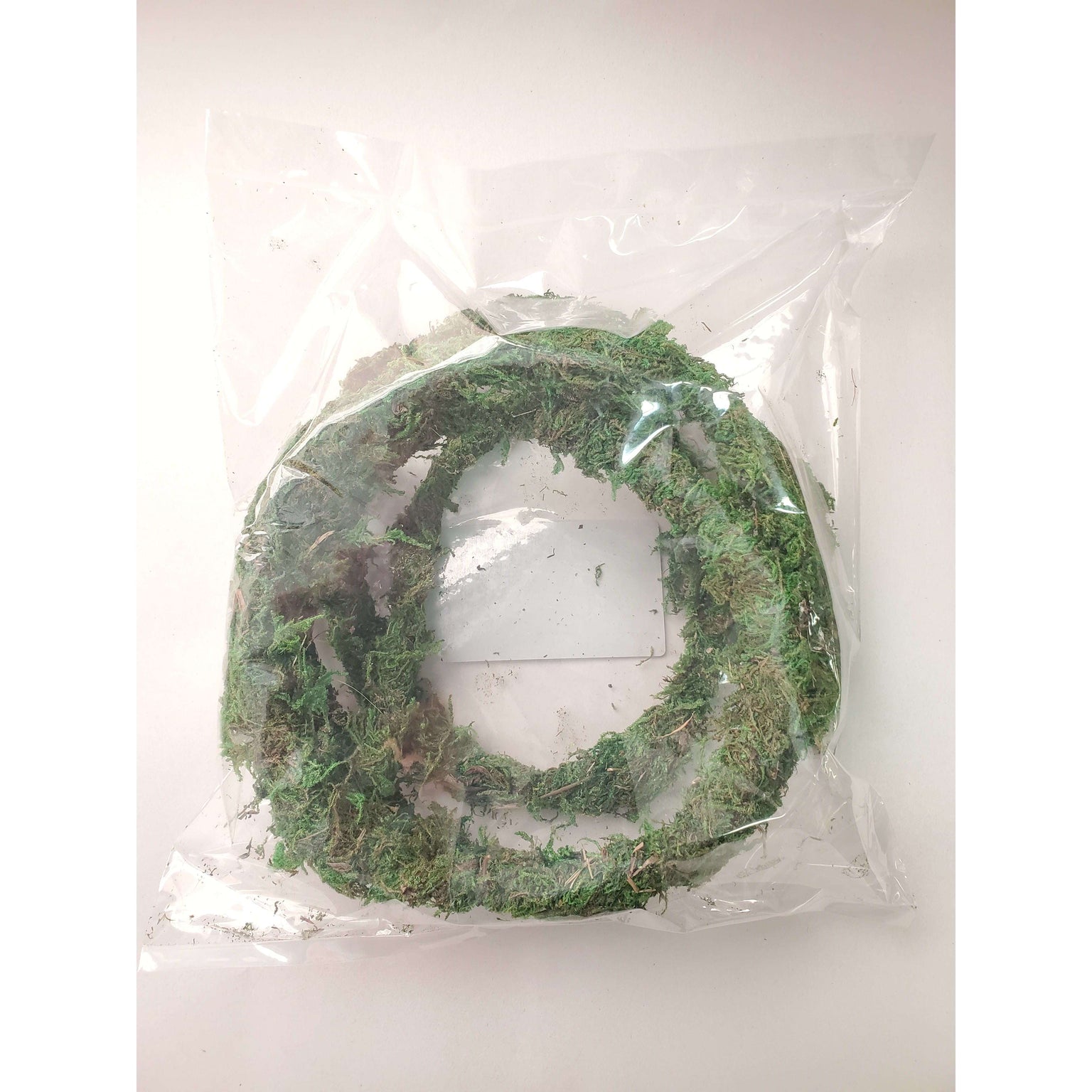 Moss — Jungle Bobs Reptile World