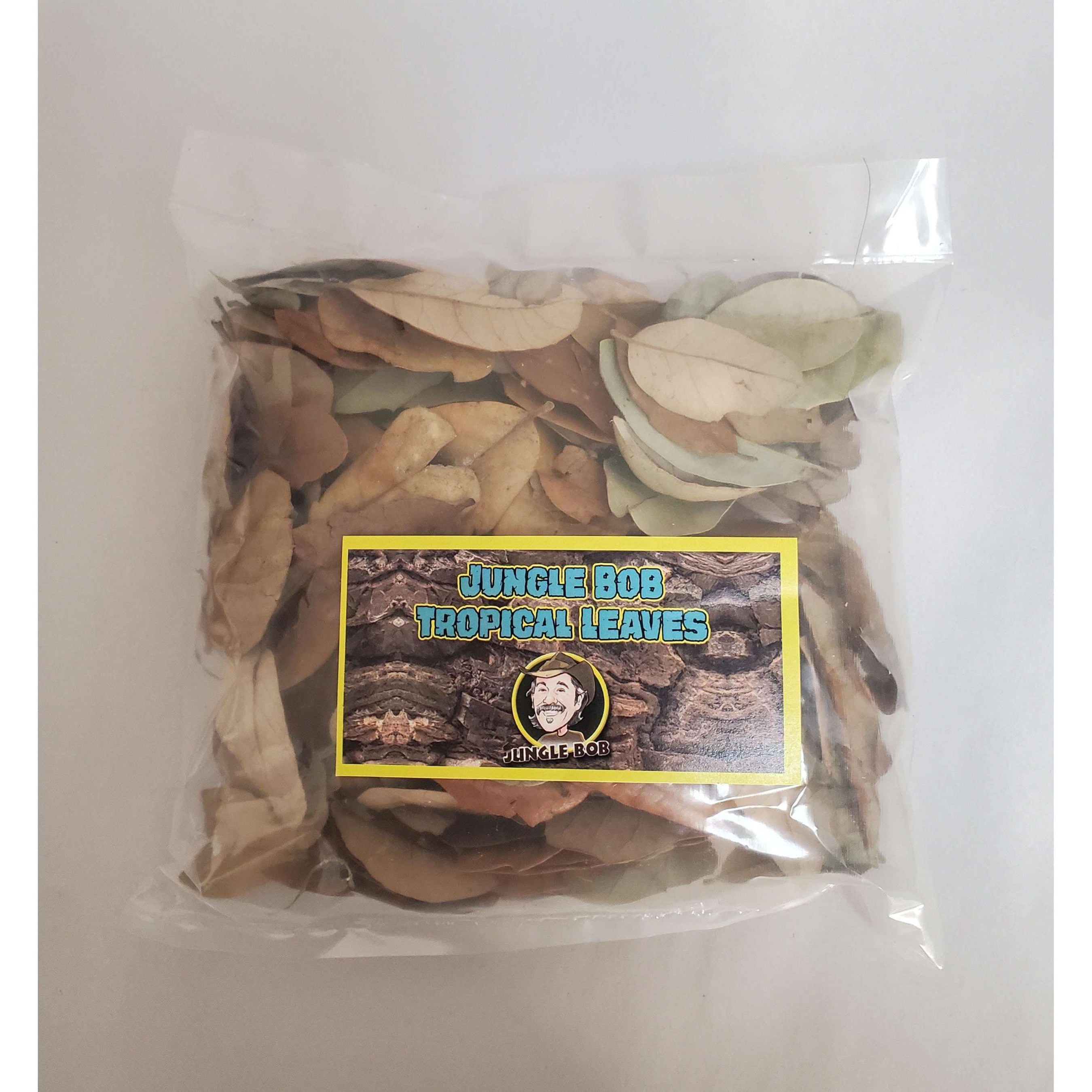 Jungle Bob Brand — Jungle Bobs Reptile World