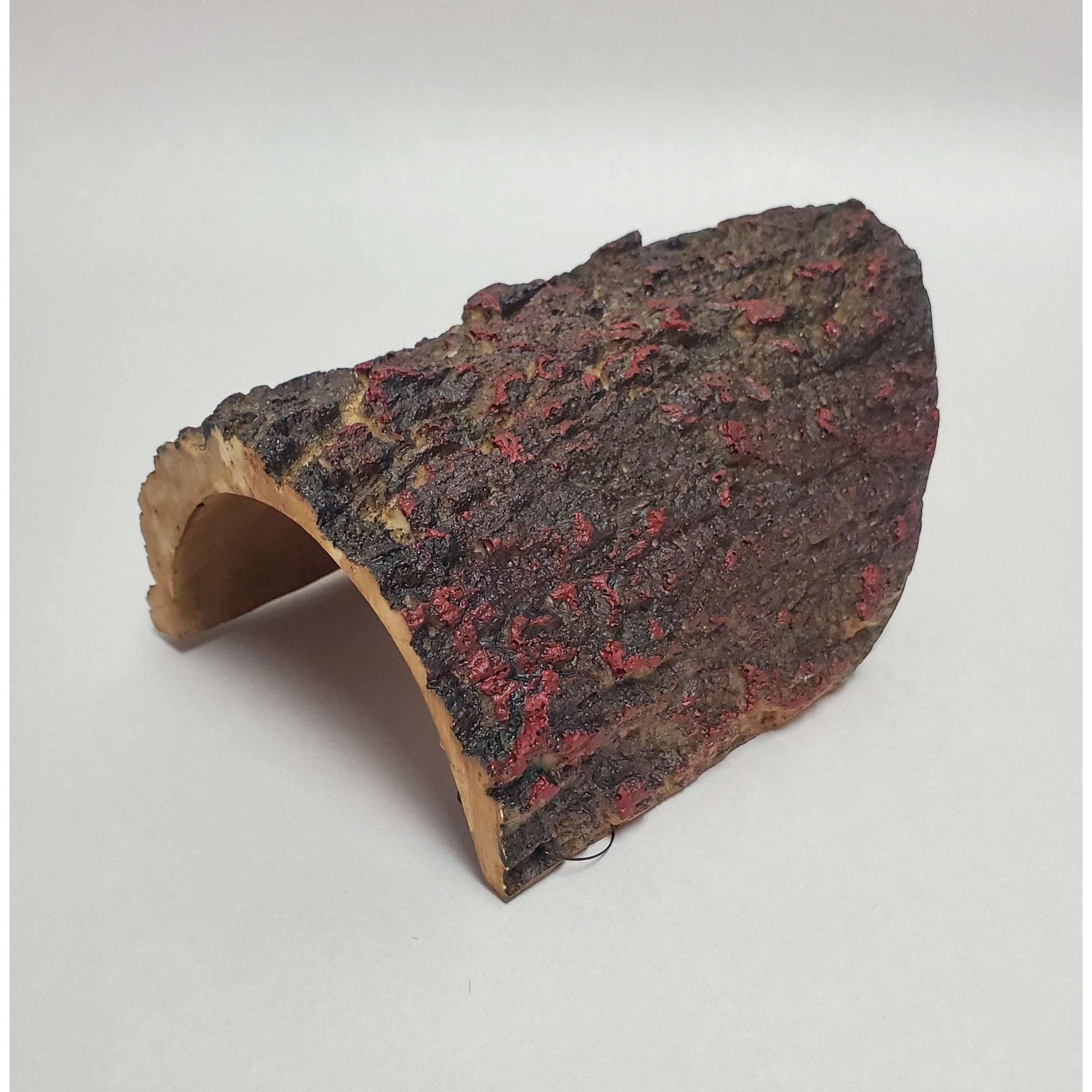 Reptile Half Round Corner Log Hide by Jungle Bob — Jungle Bobs Reptile ...