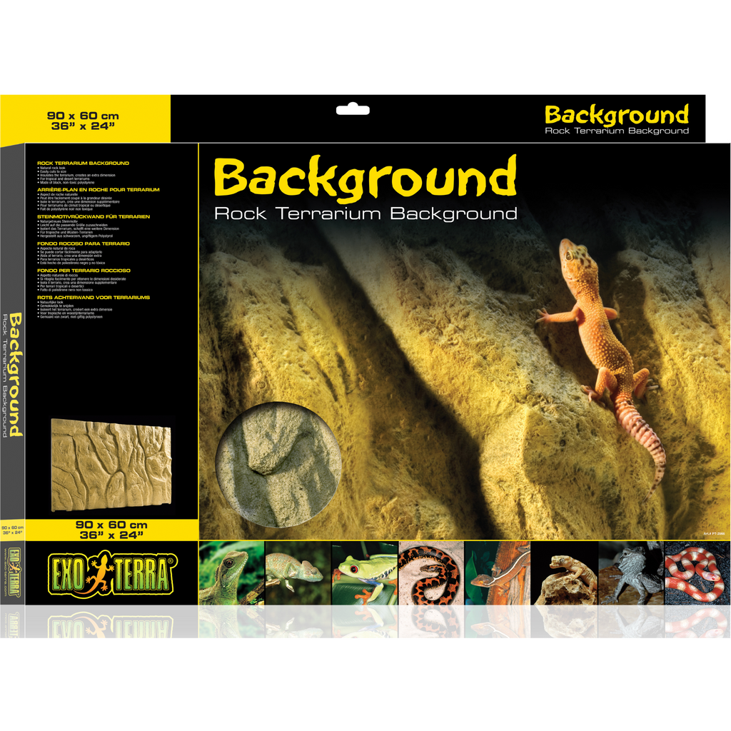 Terrarium Backgrounds — Jungle Bobs Reptile World