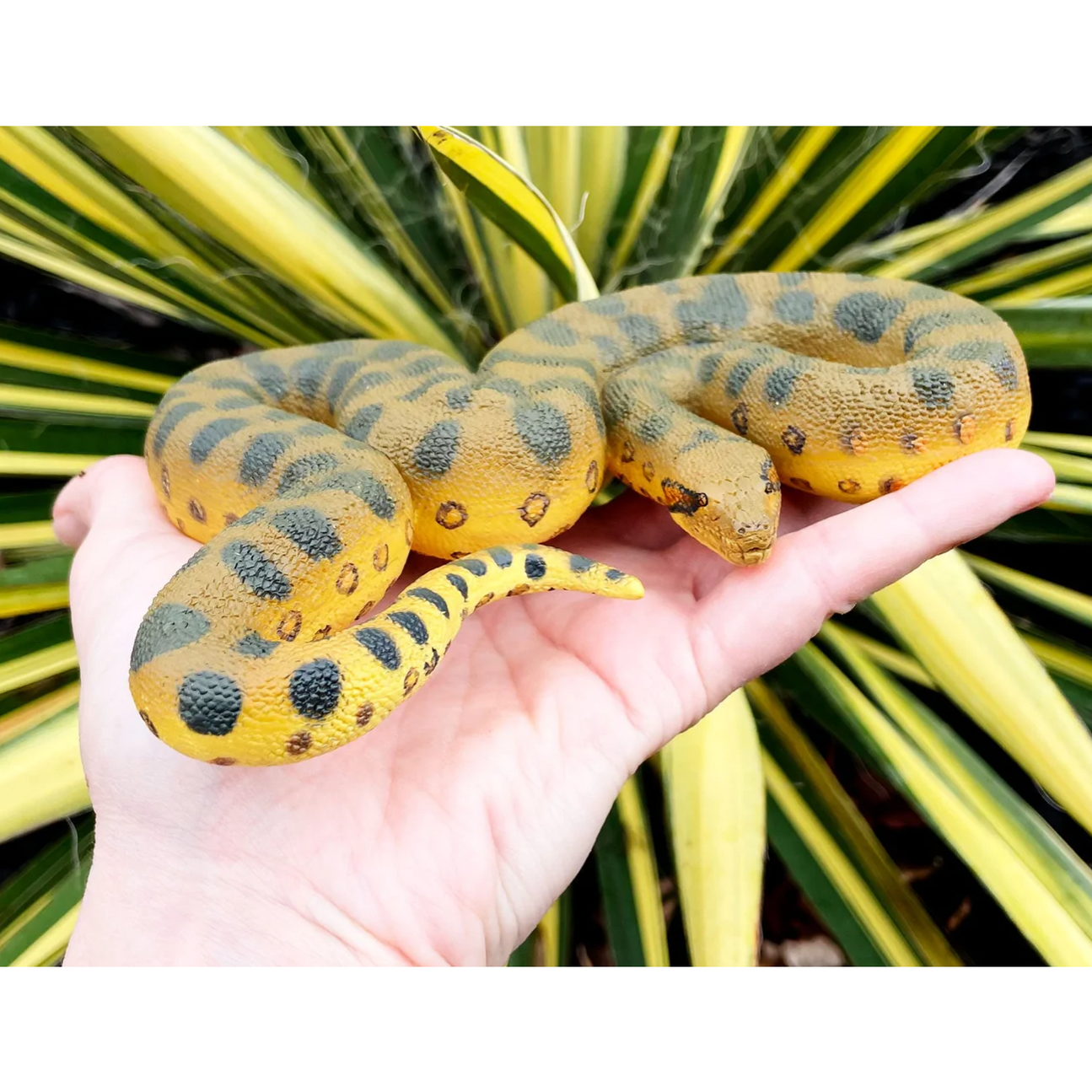 Toy Green Anaconda Collectable by Safari Ltd. — Jungle Bobs Reptile World