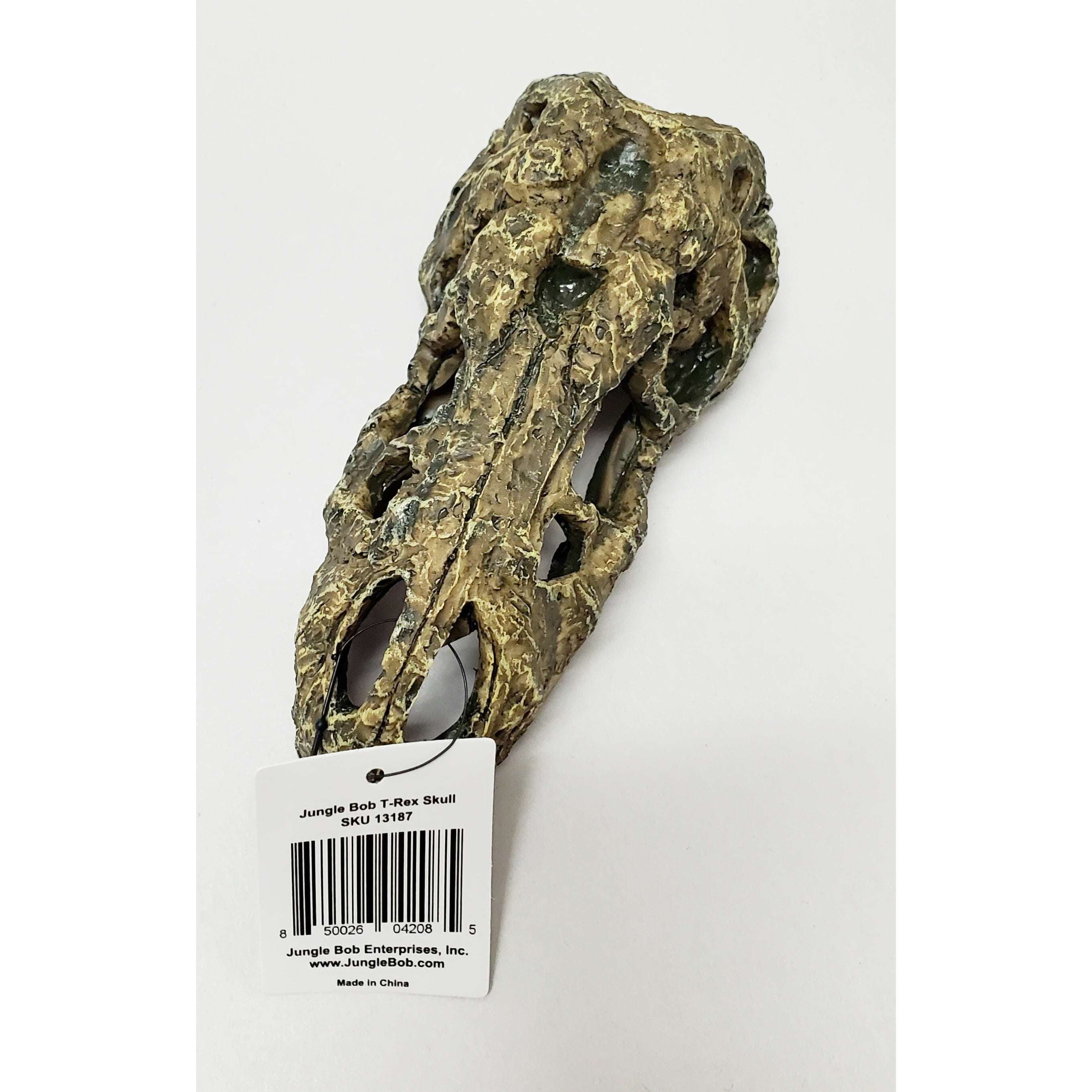 T-Rex Skull Decoration by Jungle Bob 5.5"x3"x2" — Jungle Bobs Reptile World