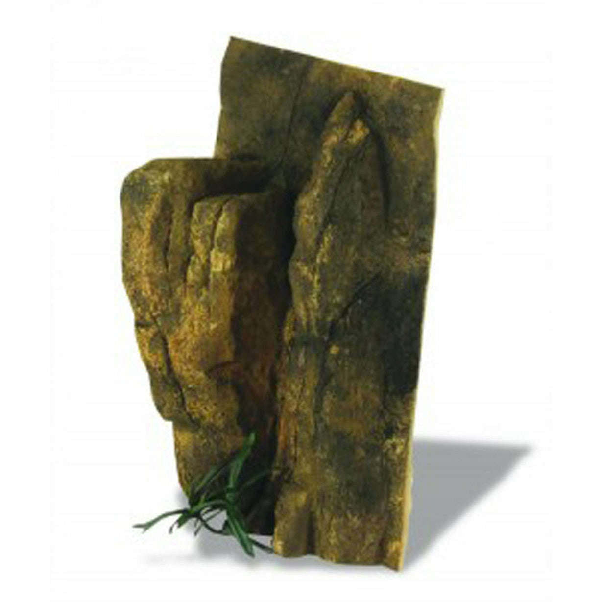 Terrarium Backgrounds — Jungle Bobs Reptile World