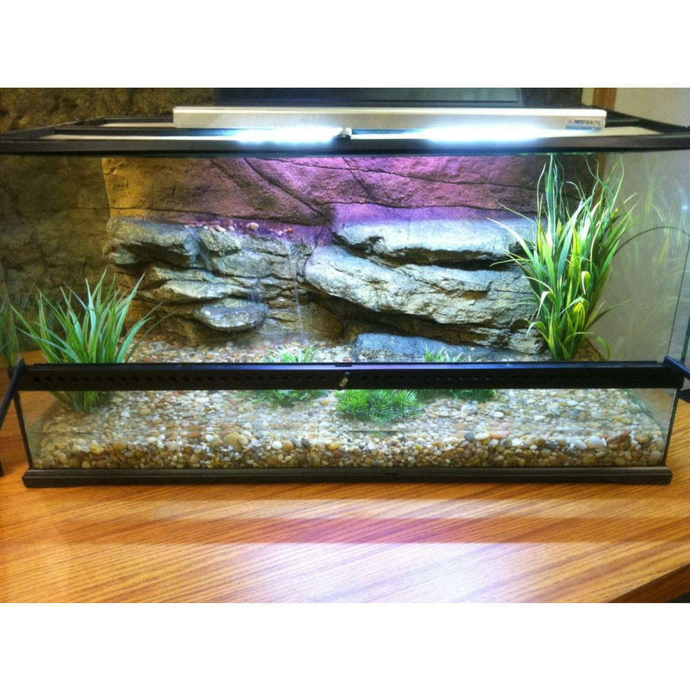 Terrarium Backgrounds — Jungle Bobs Reptile World