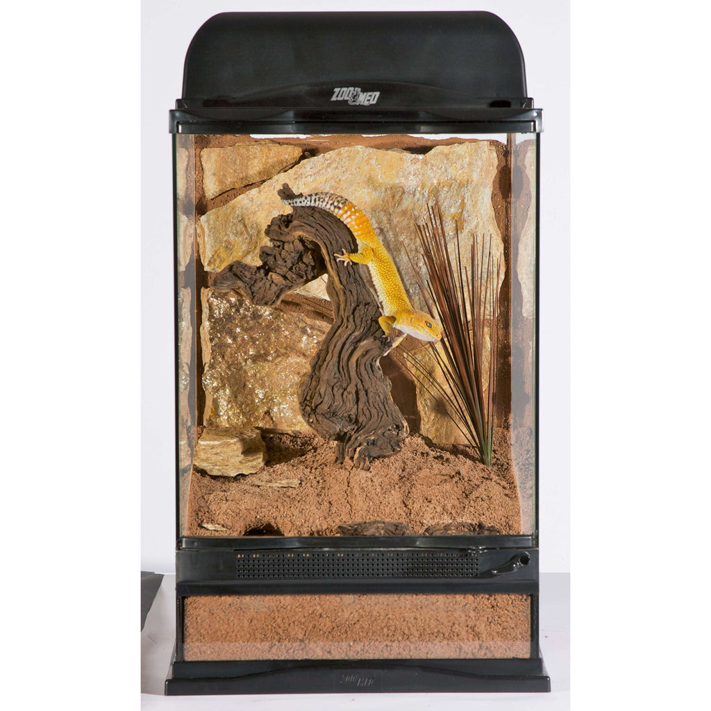 Glass Terrariums — Jungle Bobs Reptile World