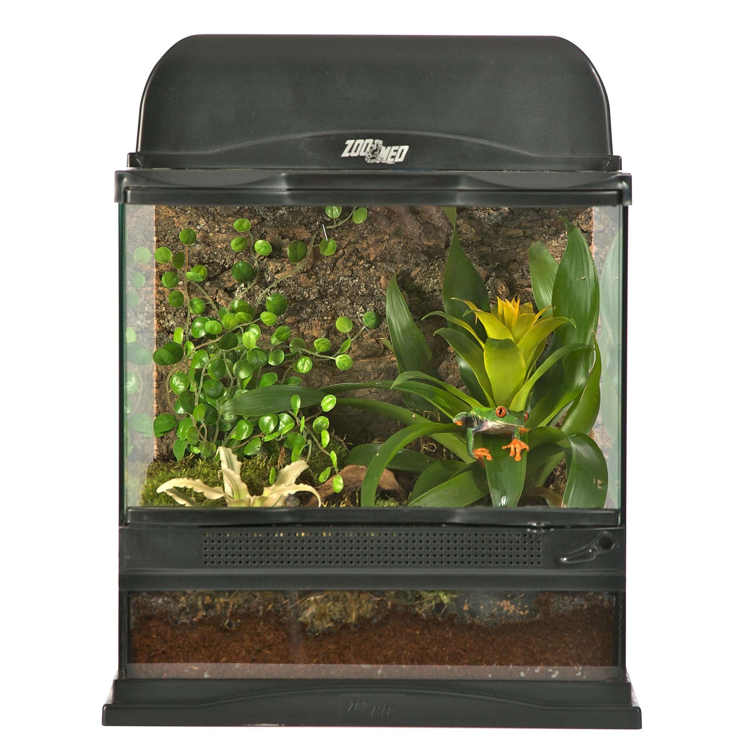 Glass Terrariums — Jungle Bobs Reptile World